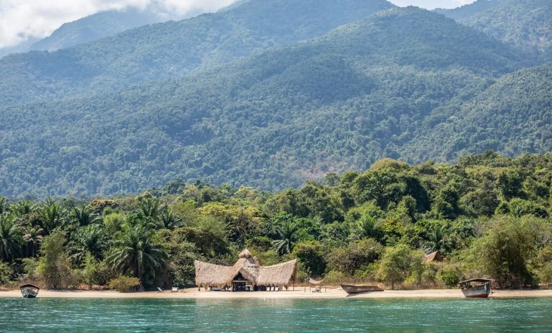 Everything You Should Know About Mahale Mountains National Park ...