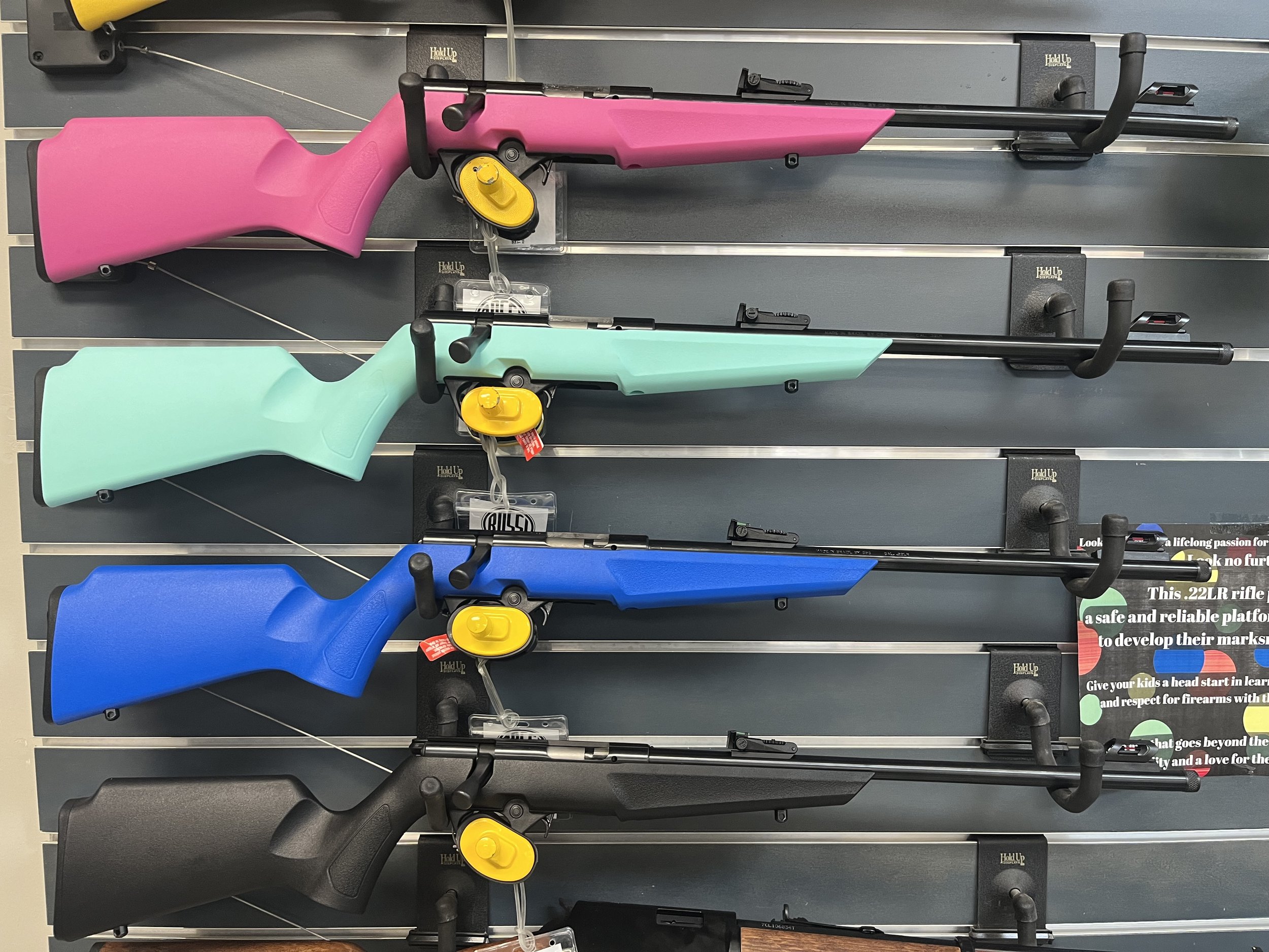 Livingston New Inventory — The Gun Shop