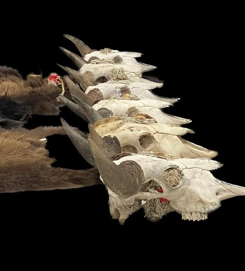 Horns of the White Buffalo — Siouxland Human Investment Partnership