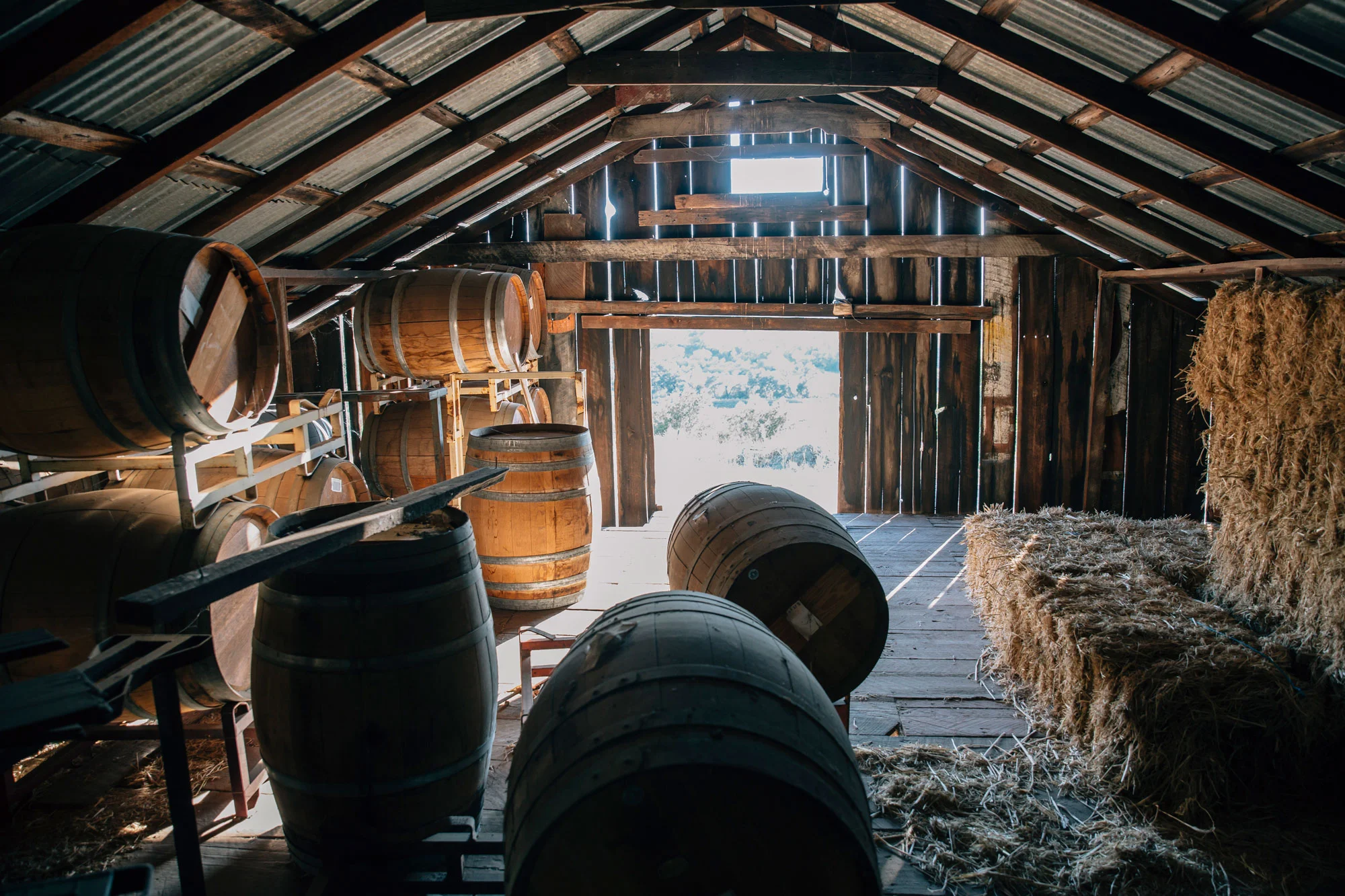 Reynoso Family Vineyards