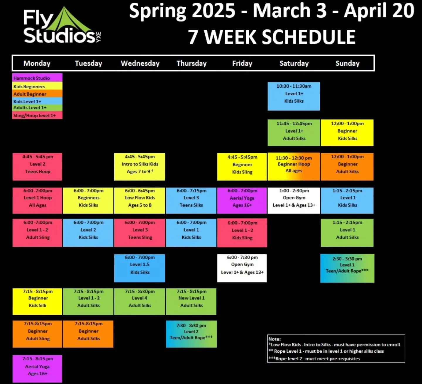 Kids Aerial (9-15yrs) — Fly Studios YXE