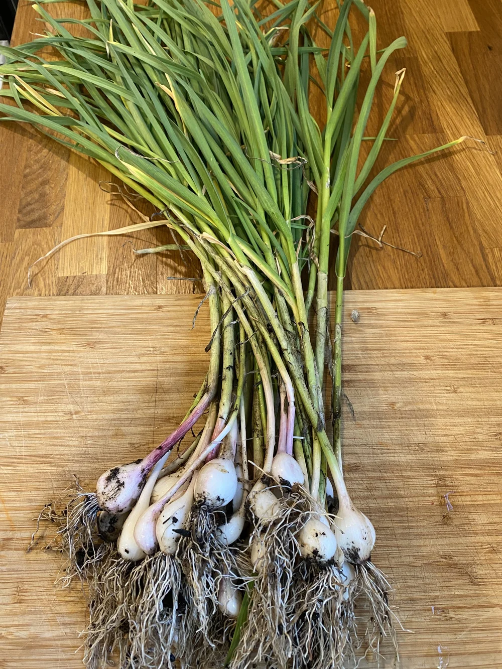 Sweet and Sour Onions — Wild Earth Acupuncture - Portland, Oregon