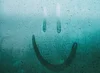 Dampness in Traditional Chinese Medicine — Wild Earth Acupuncture ...