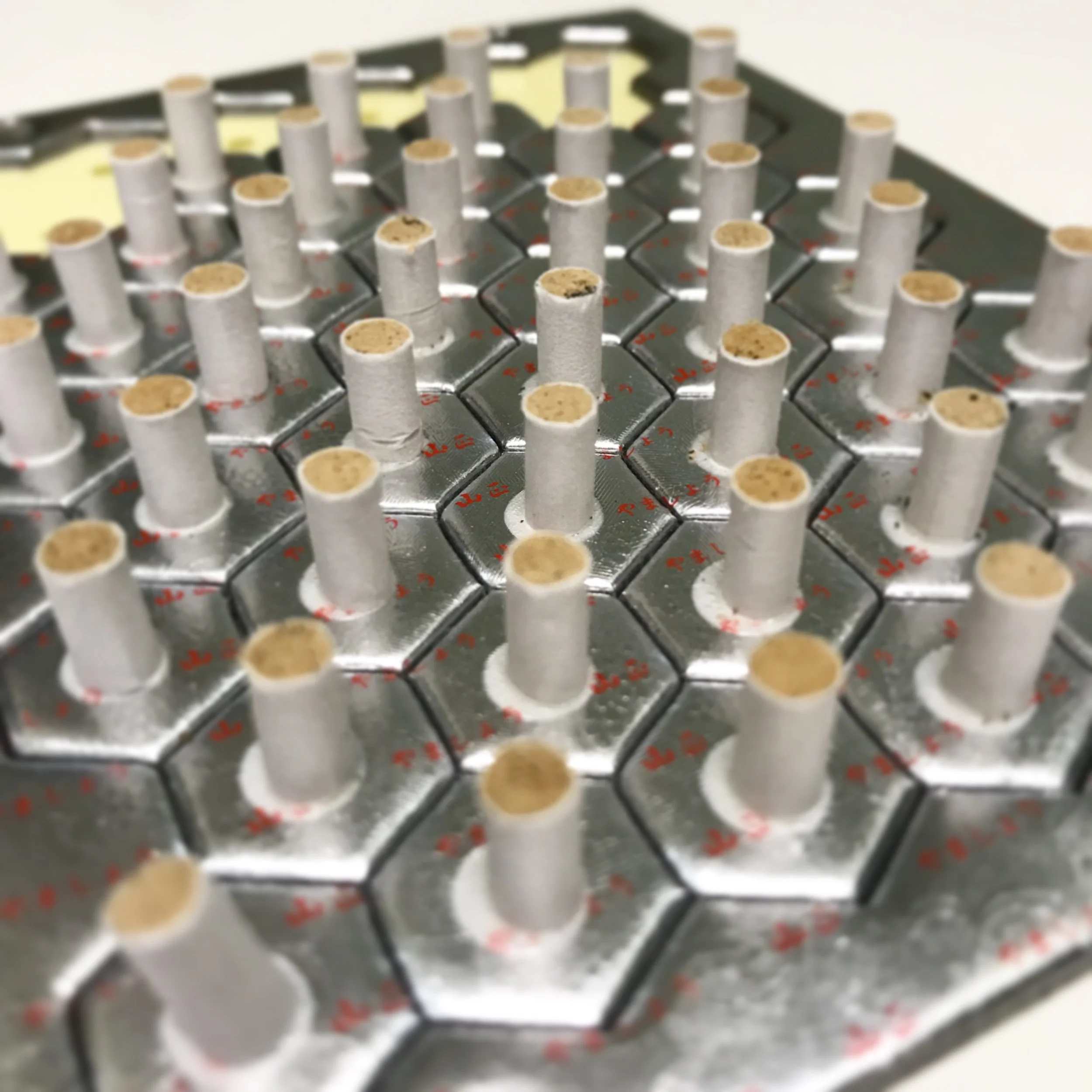 What Is Moxa, How Is It Used, and What Are The Benefits? — Wild Earth ...