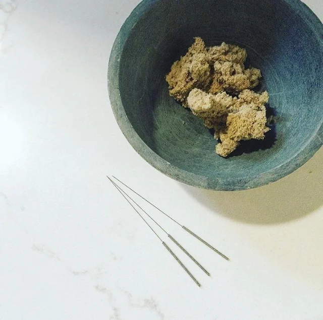 What Is Moxa, How Is It Used, and What Are The Benefits? — Wild Earth ...