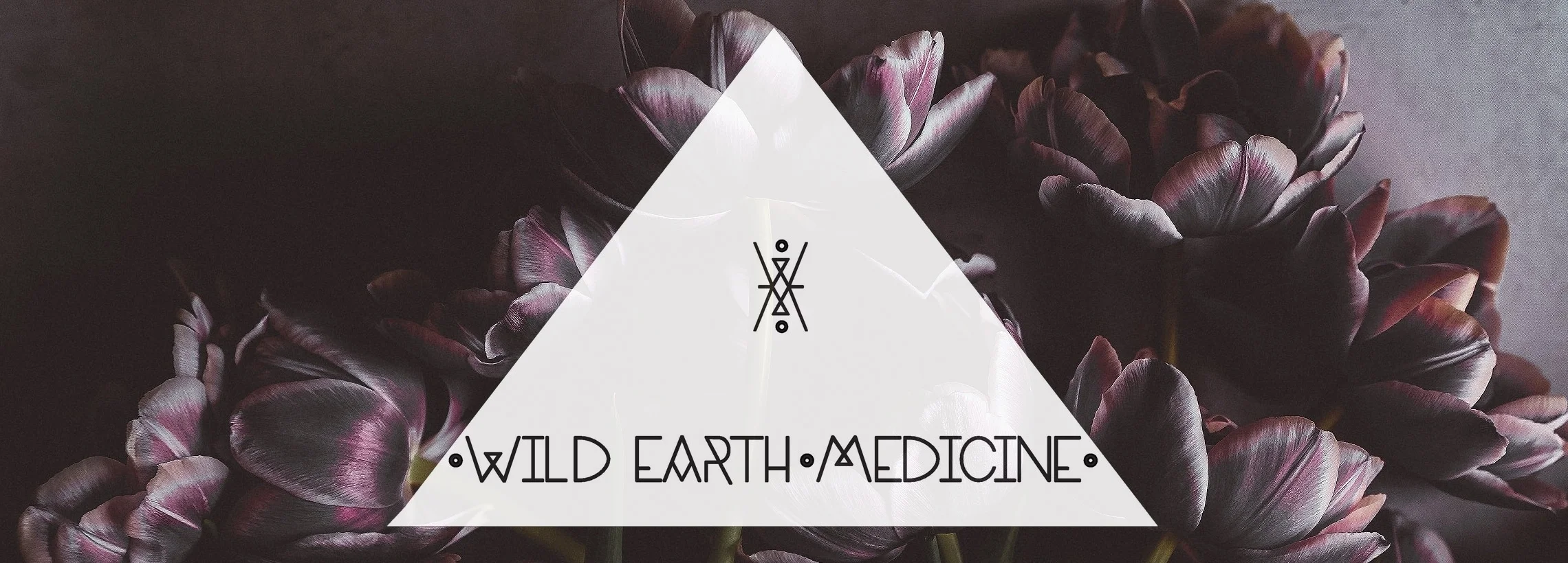 Wild Earth Acupuncture and Herbal Medicine