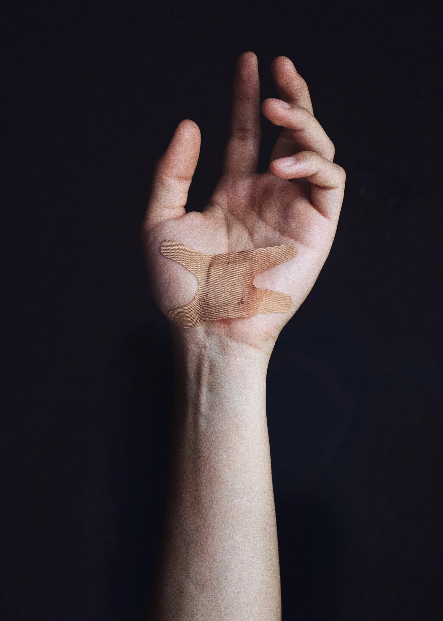 What is Qi? — Wild Earth Acupuncture - Portland, Oregon