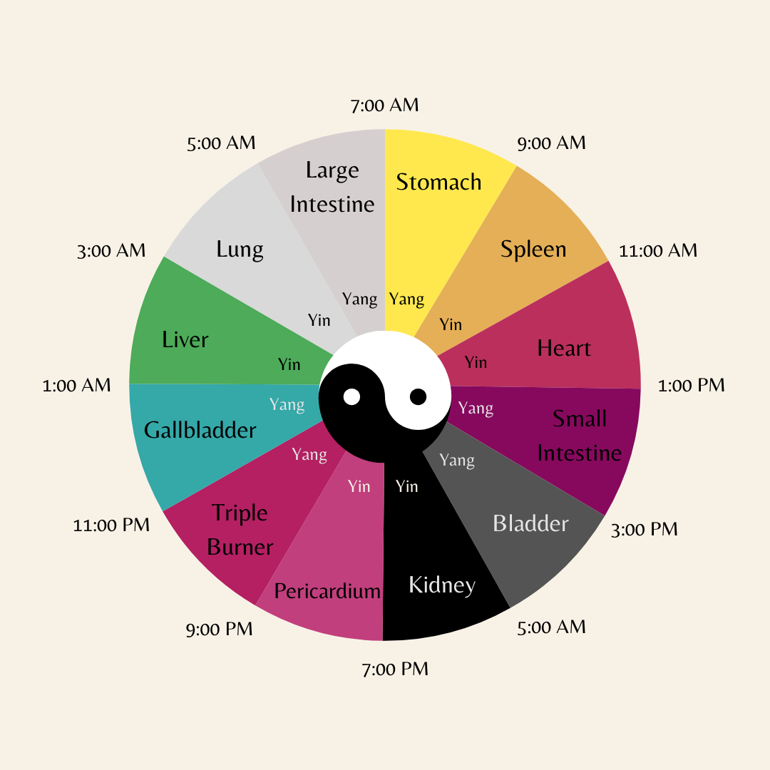 The Liver In Chinese Medicine Wild Earth Acupuncture Portland Oregon