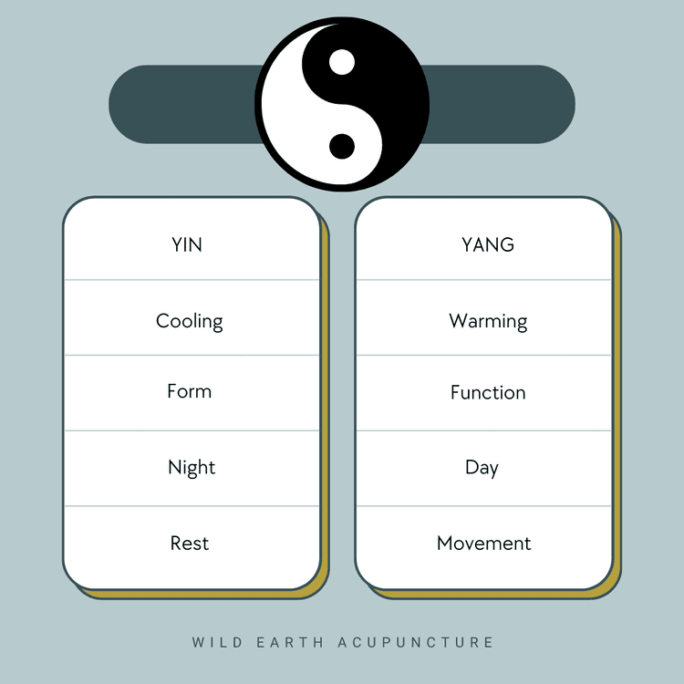 Exploring Yin Deficiency; Signs, Symptoms, and Holistic Approaches ...