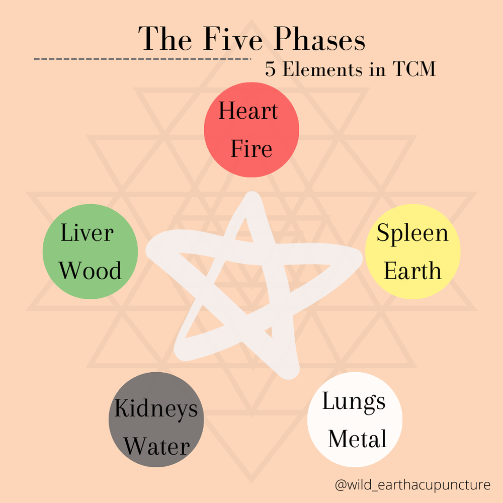The Five Elements — Wild Earth Acupuncture - Portland, Oregon
