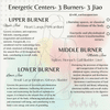 What is the San Jiao in Traditional Chinese Medicine? — Wild Earth ...