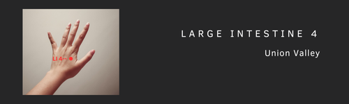 Liver Qi Stagnation–What Is It and How to Deal? — Wild Earth ...