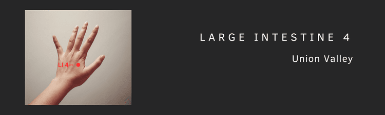 Liver Qi Stagnation–What Is It and How to Deal? — Wild Earth ...