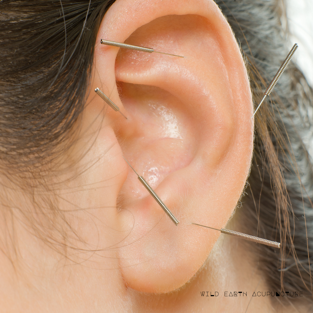 What is Qi? — Wild Earth Acupuncture - Portland, Oregon