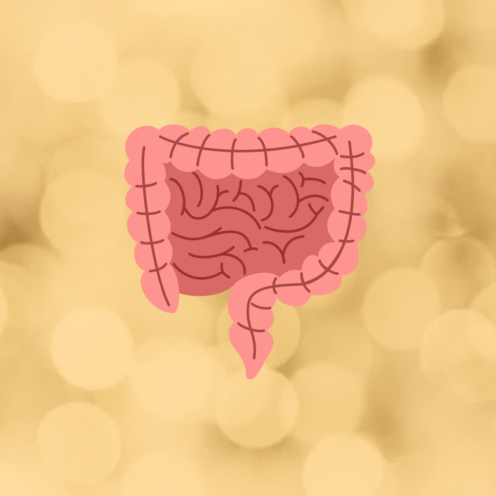 Chinese Medicine and the Large Intestine — Wild Earth Acupuncture ...