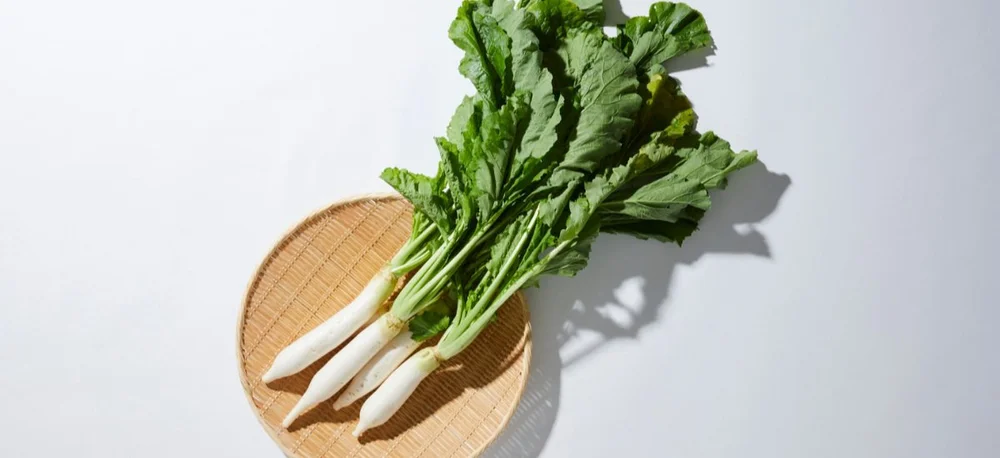 Pickled Daikon — Wild Earth Acupuncture - Portland, Oregon