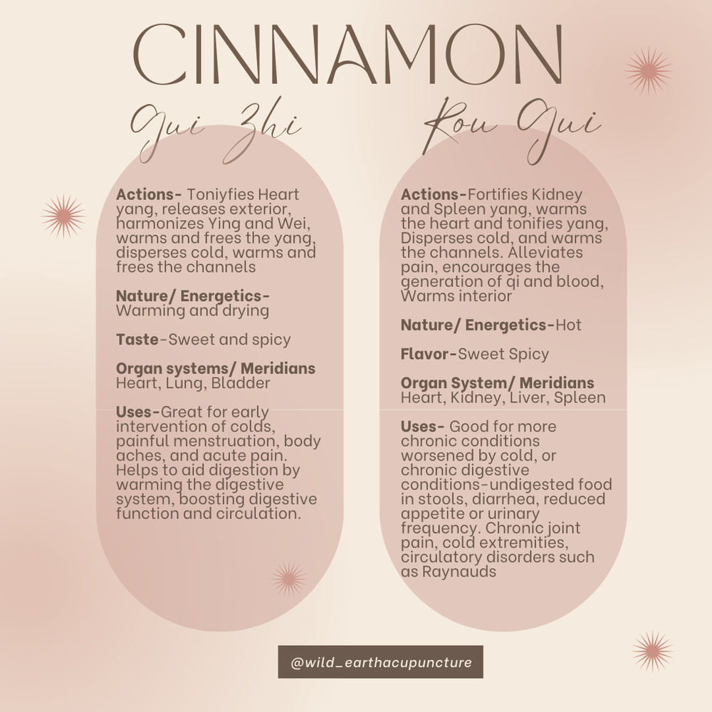 Cinnamon–Benefits, Uses, and Recipes — Wild Earth Acupuncture ...