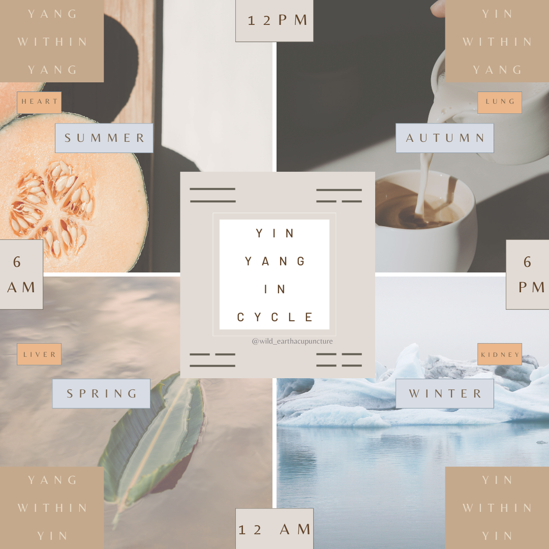 Yin and Yang — Wild Earth Acupuncture - Portland, Oregon