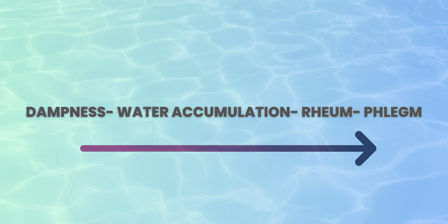 Dampness in Traditional Chinese Medicine — Wild Earth Acupuncture - Portland, Oregon