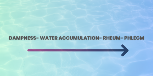 Dampness in Traditional Chinese Medicine — Wild Earth Acupuncture ...