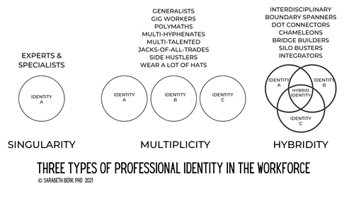 Framework of Three Types of Professional Identity — More Than My Title
