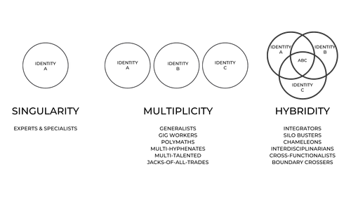 More Than My Title® – Identity-Based Career Coaching for Hybrids ...