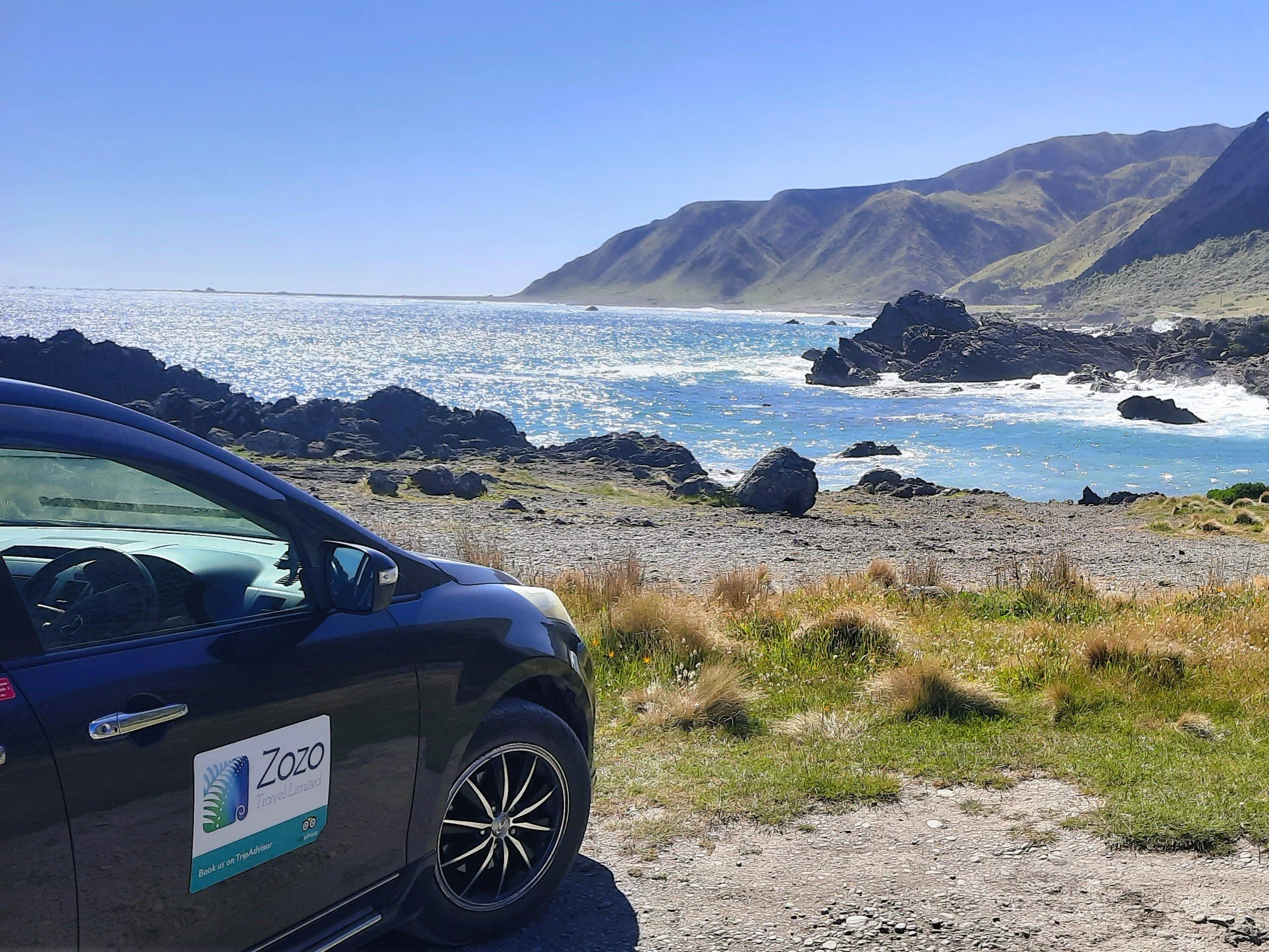 Zozo Travel - Guided Tours in Wellington NZ