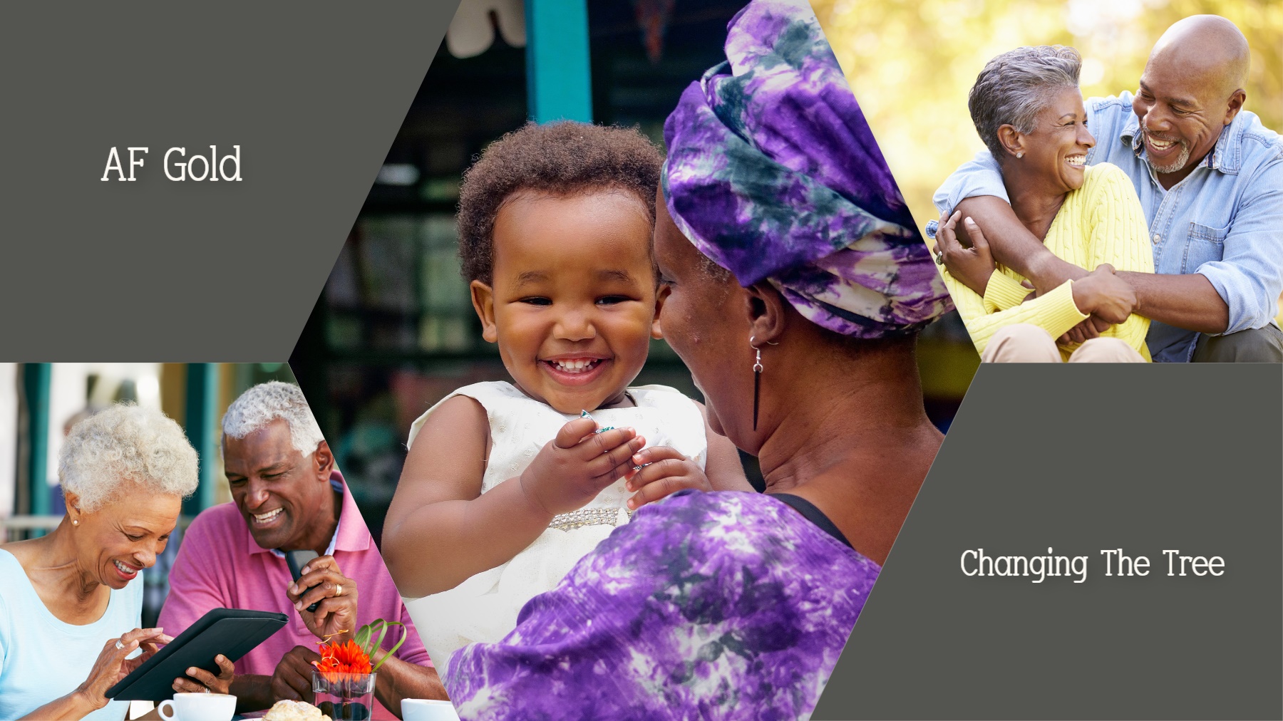 AF Gold — Anew Financial