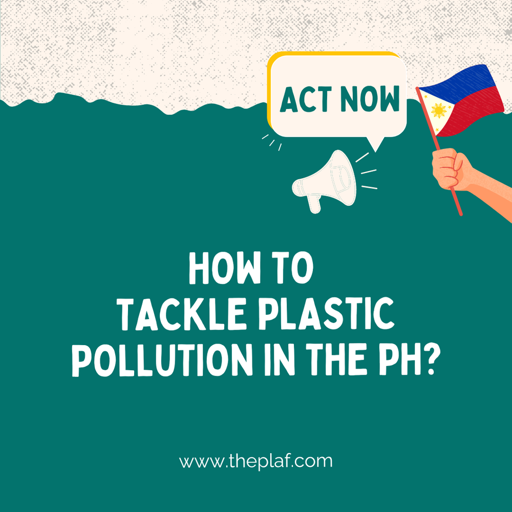 Tackling Ocean Plastic Pollution in the Philippines — The Plastic Flamingo