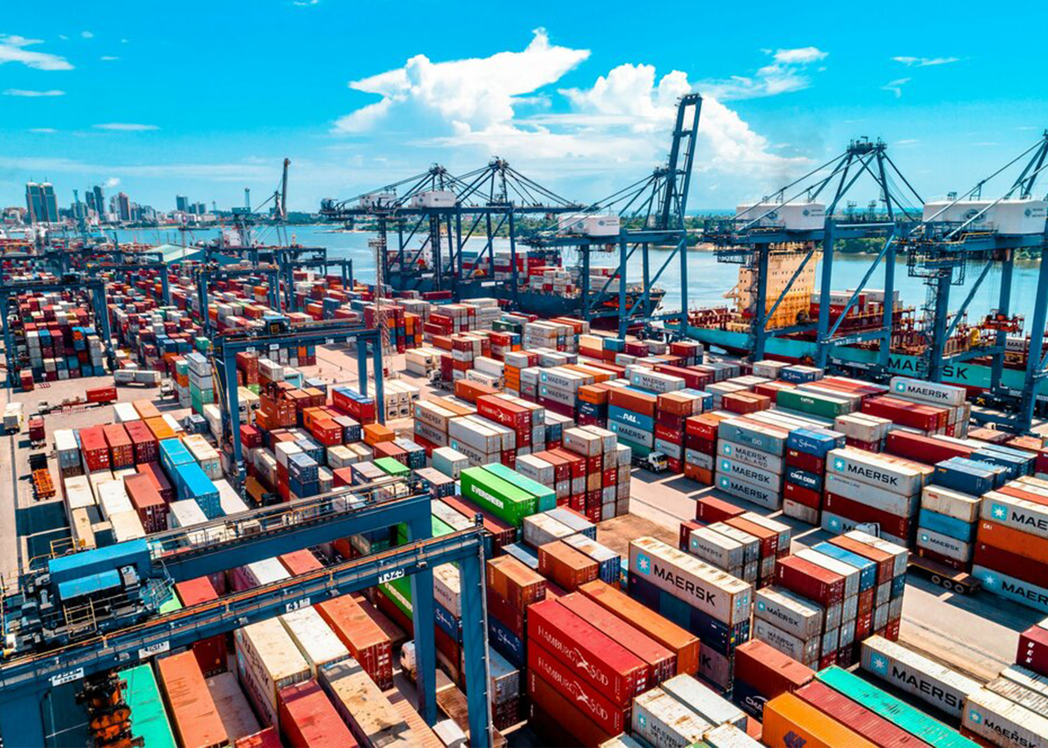 Services Overview — FitzMark