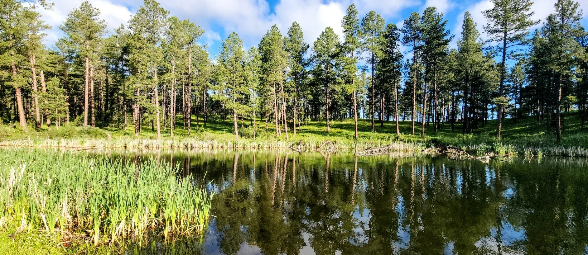 Sheridan Lake Campground — Black Hills Hiking, Biking, and More