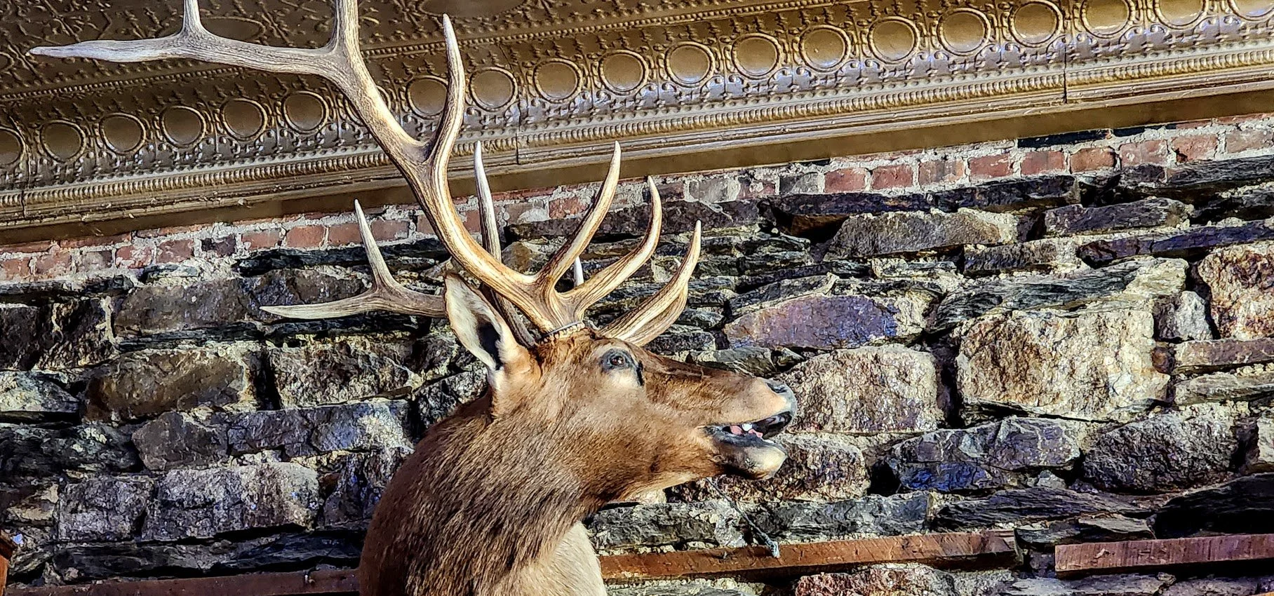 Buglin' Bull Restaurant And Sports Bar — Black Hills Hiking, Biking ...