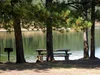 Pactola Lake — Black Hills Hiking, Biking, and More