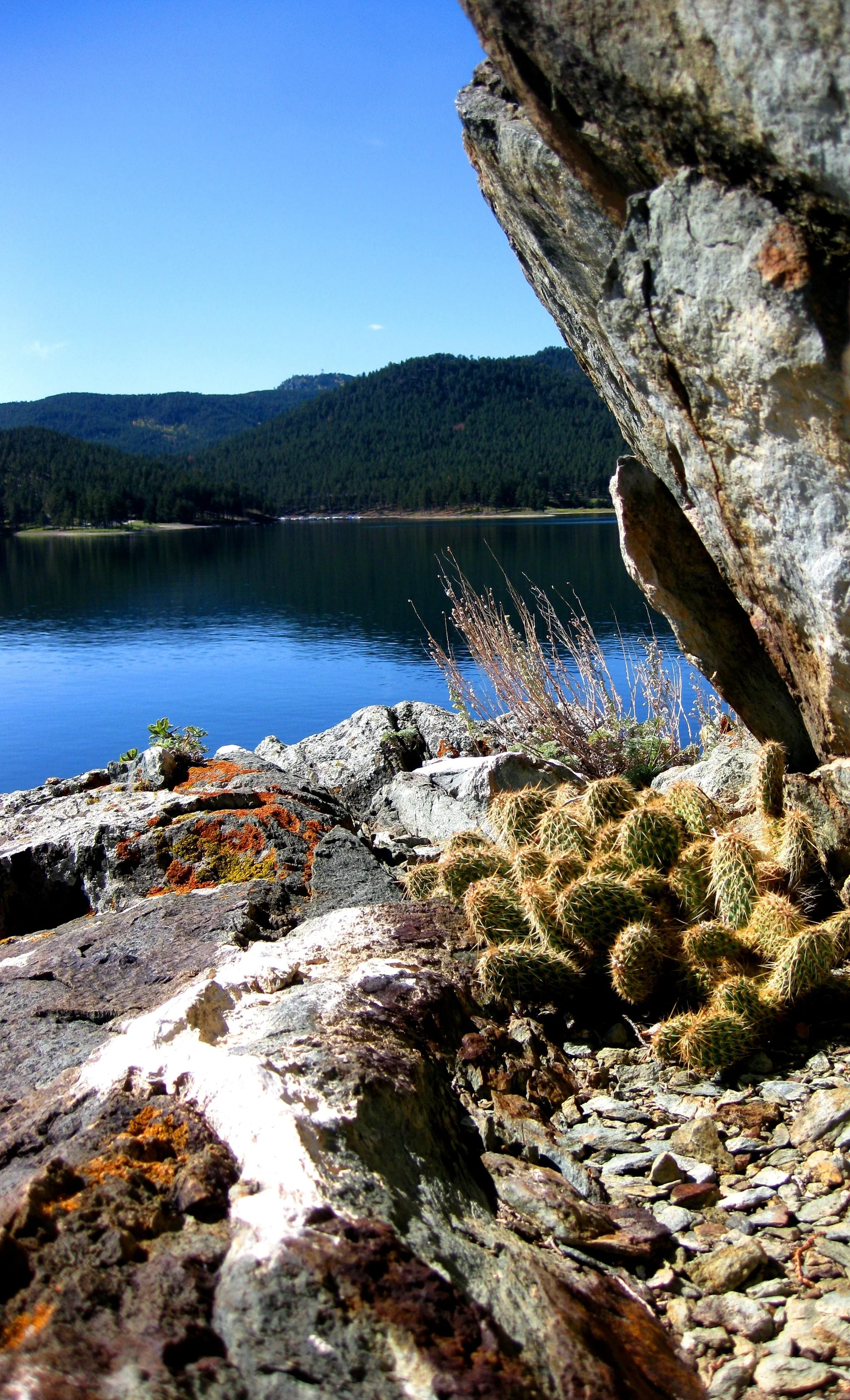 Pactola Lake — Black Hills Hiking, Biking, and More
