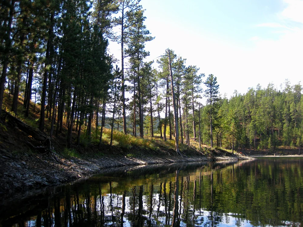 Pactola Lake — Black Hills Hiking, Biking, and More