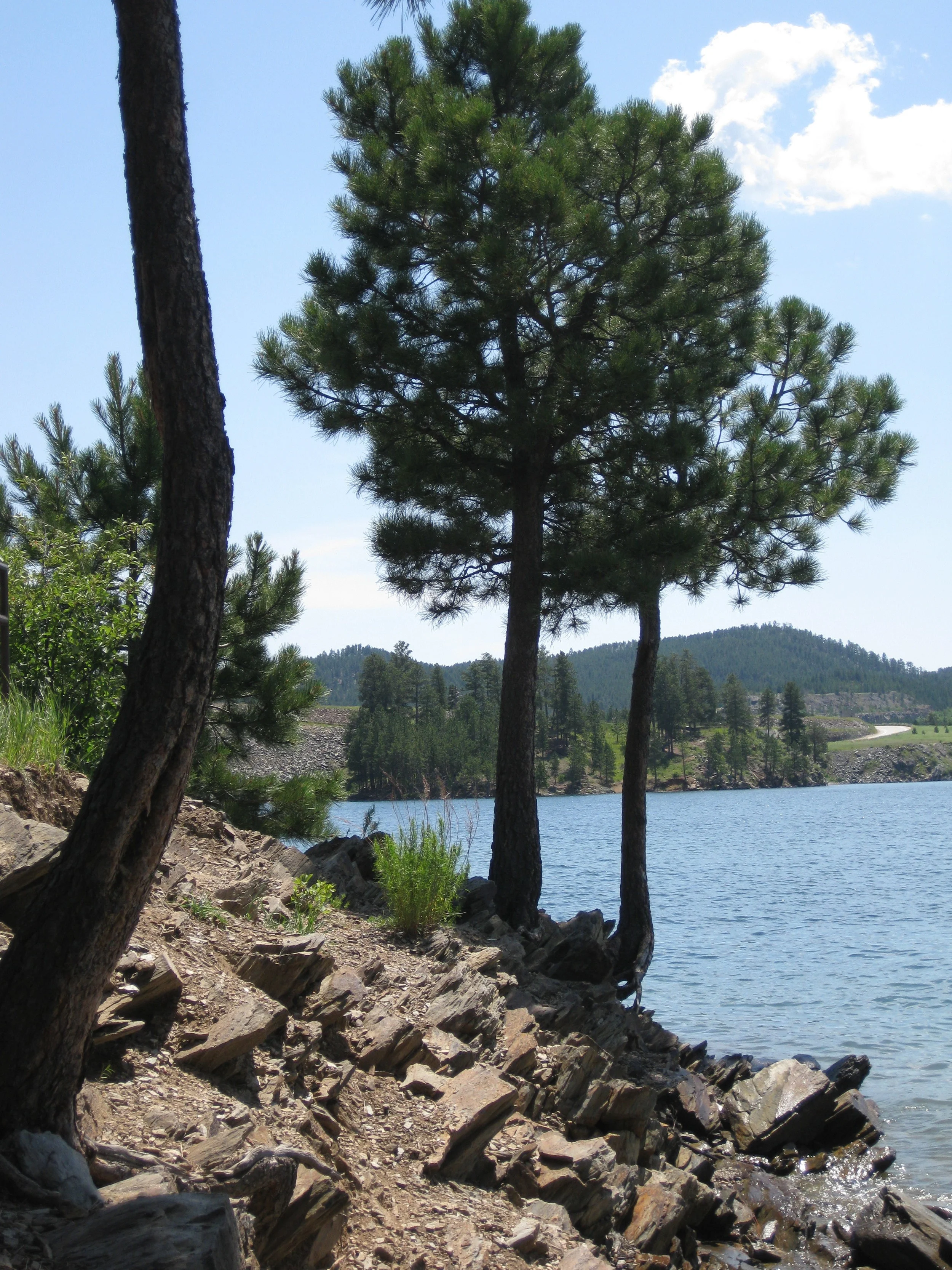 Pactola Lake — Black Hills Hiking, Biking, and More