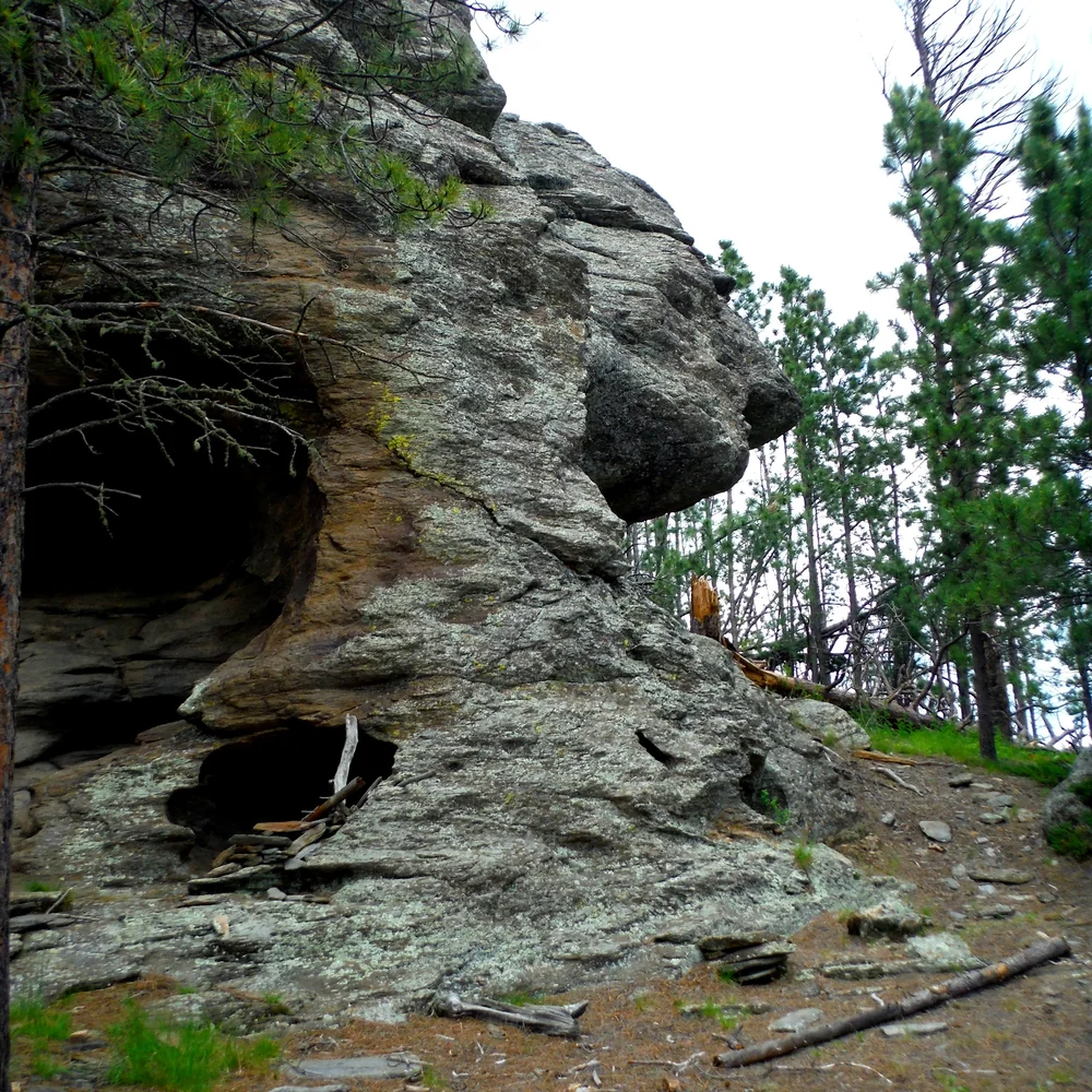 Willow Creek Trailhead — Black Hills Hiking, Biking, and More
