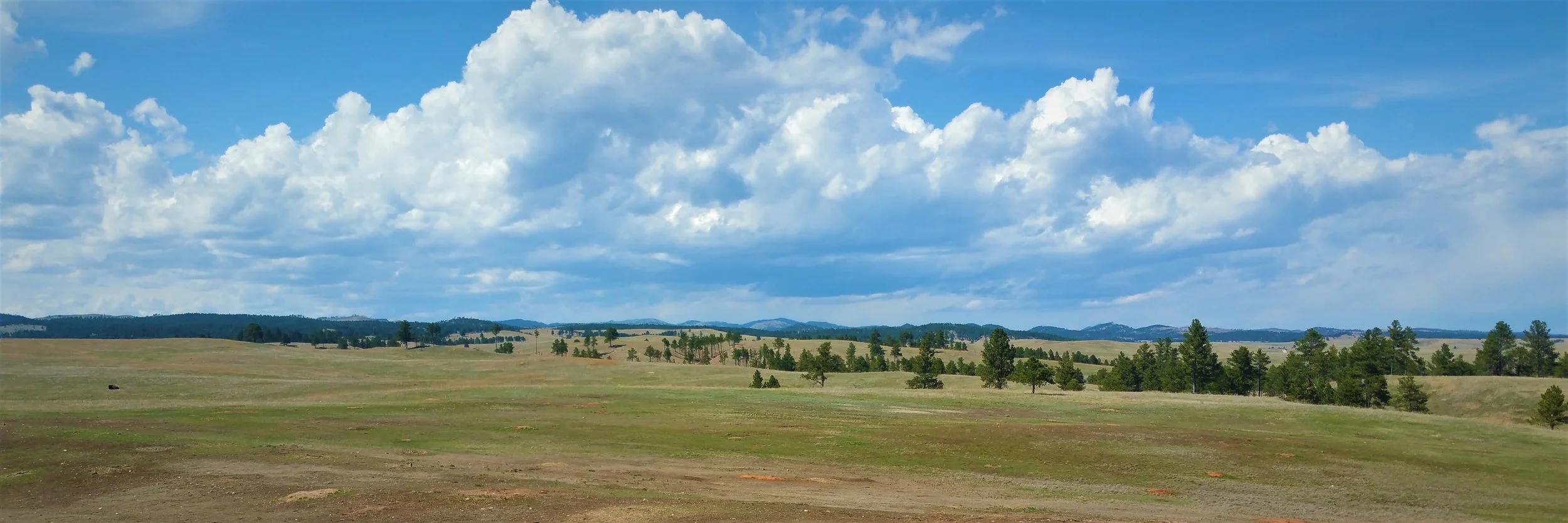 Wind Cave National Park — Black Hills Hiking, Biking, and More