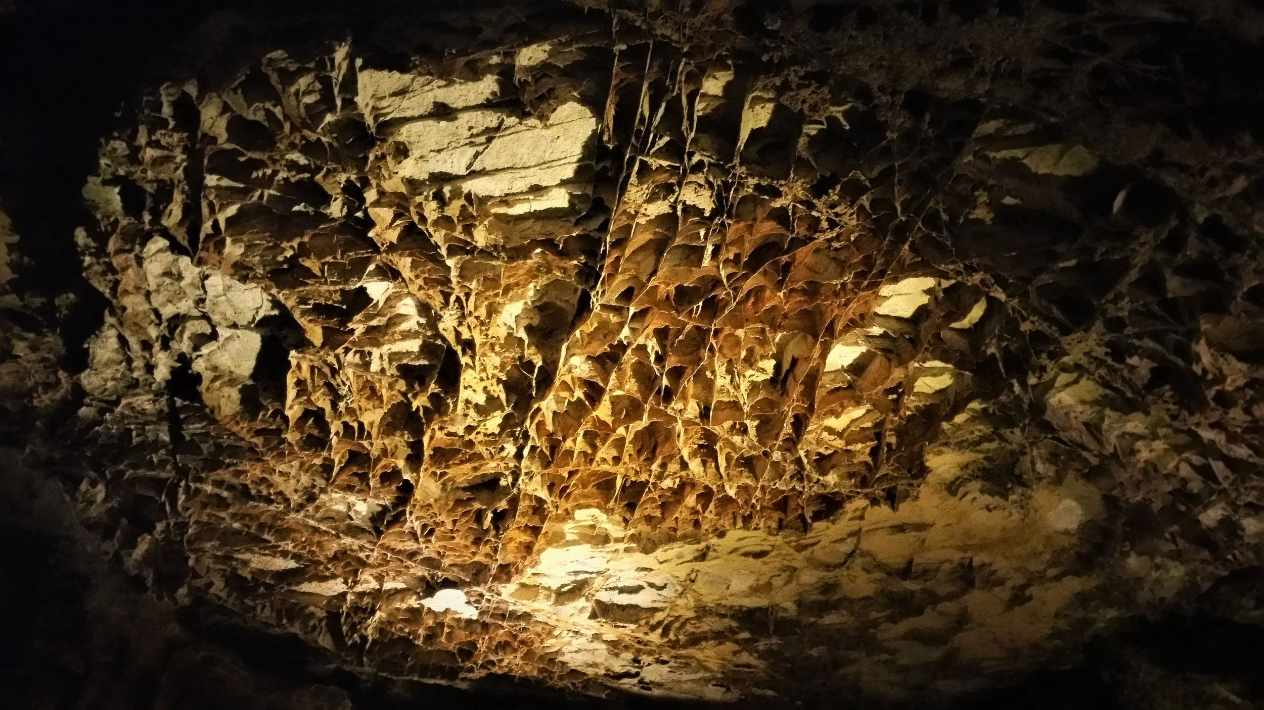 Wind Cave National Park — Black Hills Hiking, Biking, and More