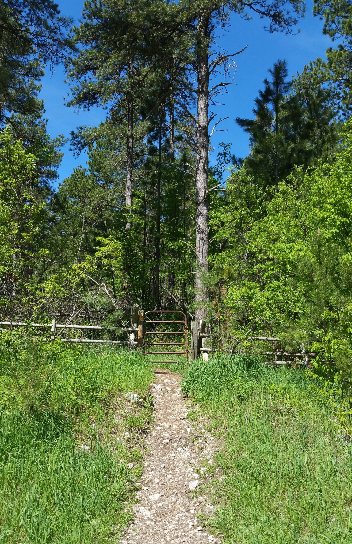 Crow Peak — Black Hills Hiking, Biking, and More