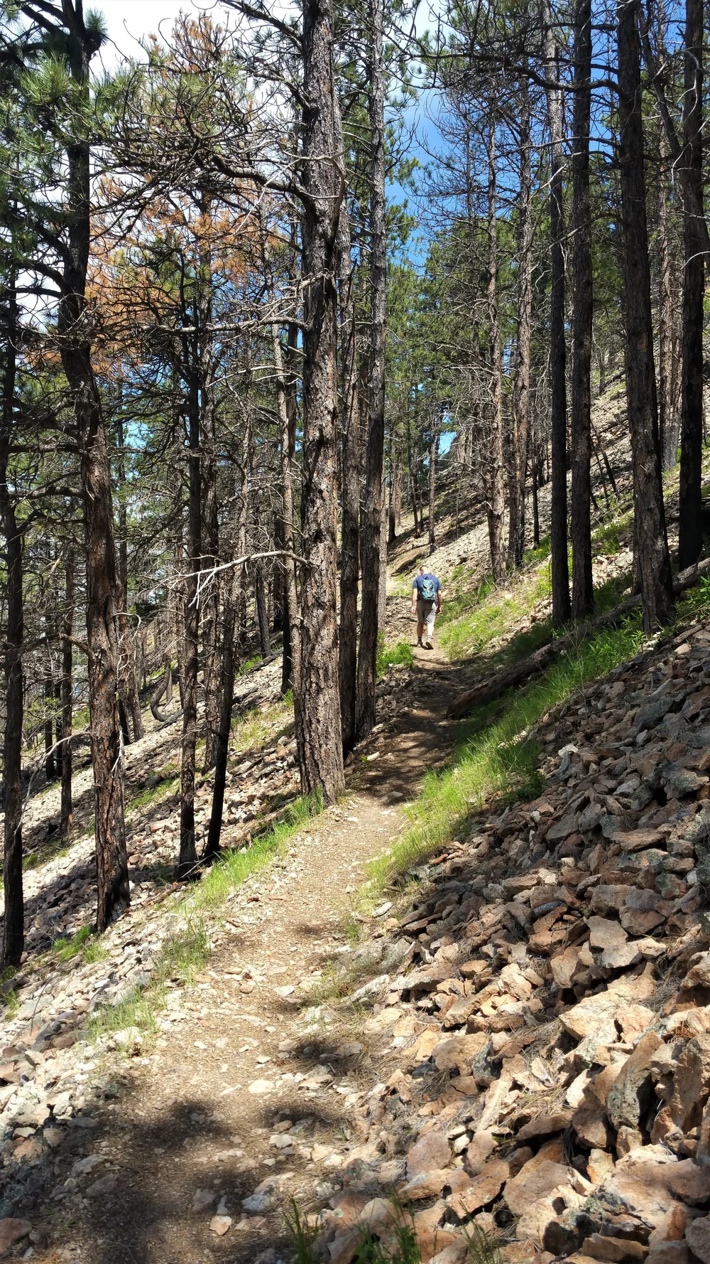 Crow Peak — Black Hills Hiking, Biking, and More