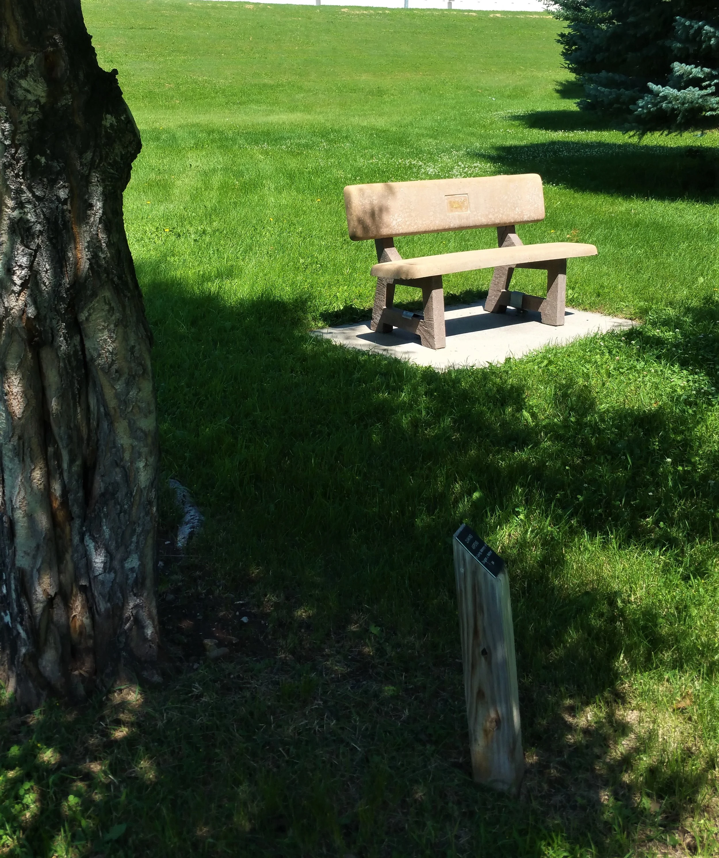 Memory Lane Park — Black Hills Hiking, Biking, and More