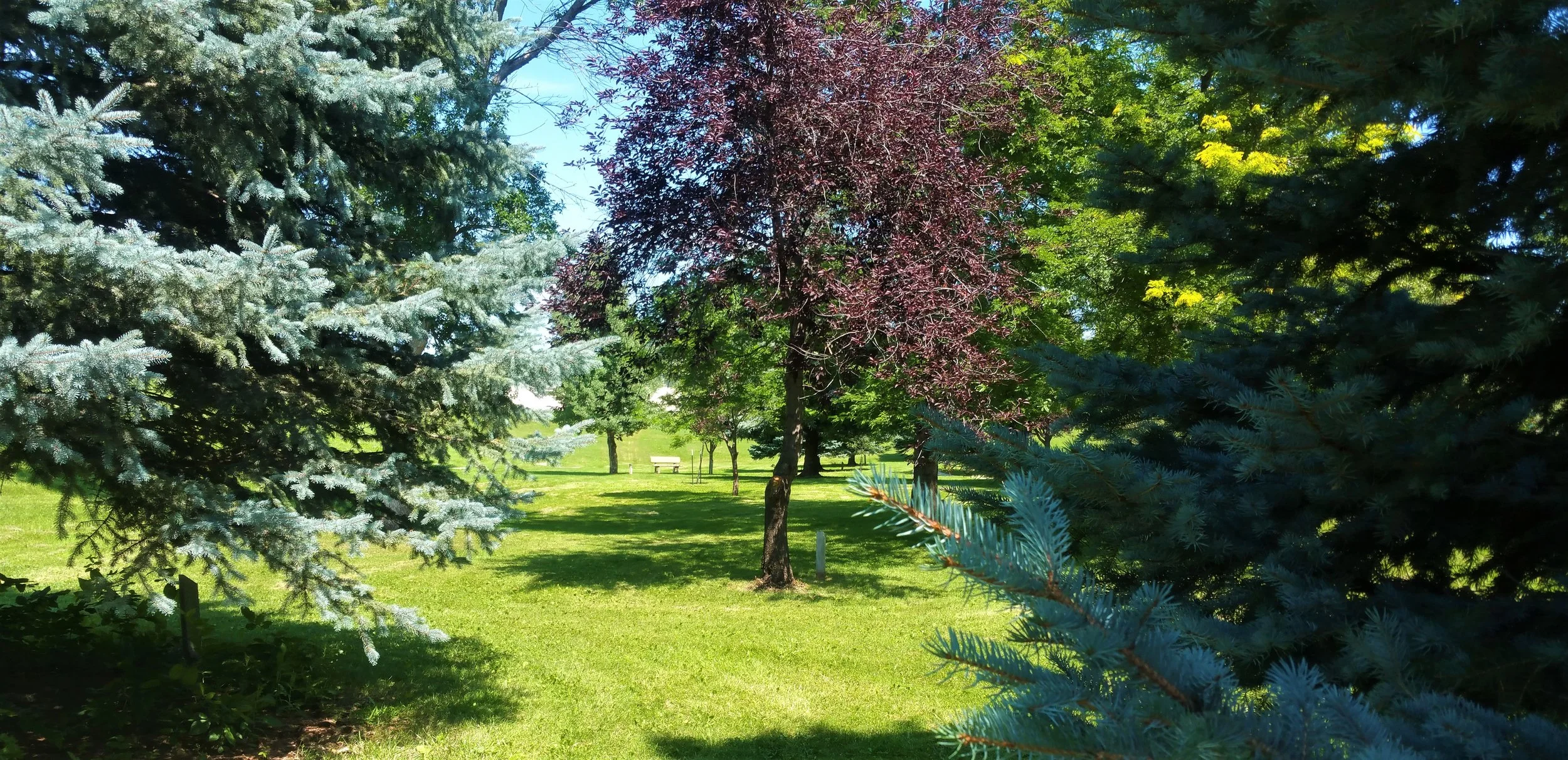 Memory Lane Park — Black Hills Hiking, Biking, and More