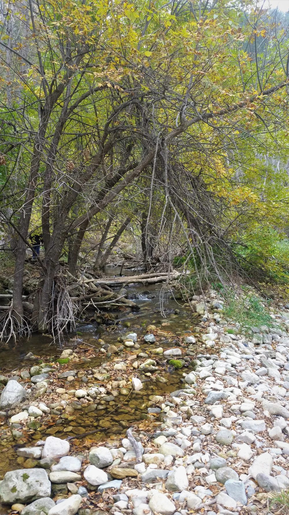 Community Caves — Black Hills Hiking, Biking, and More
