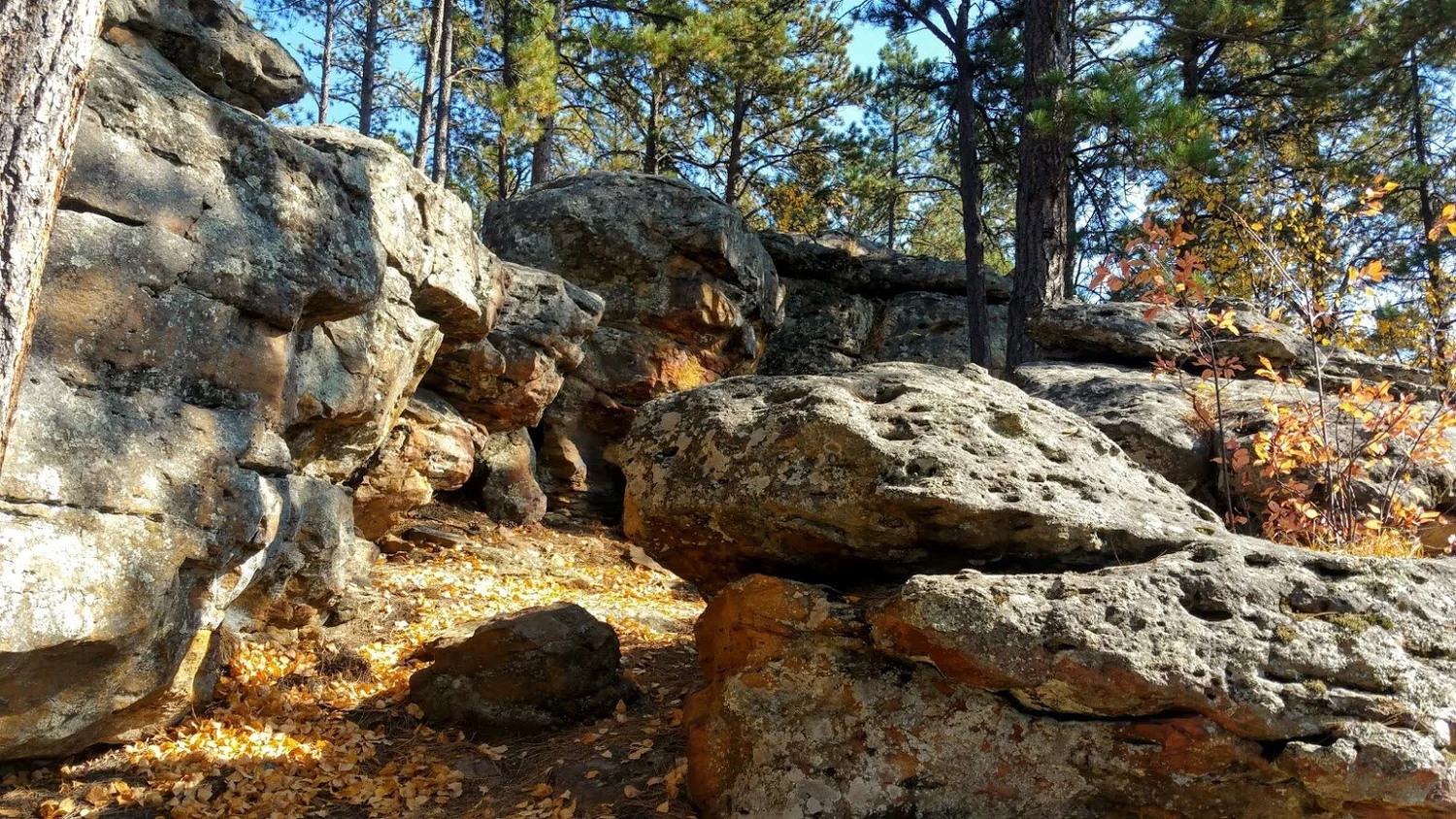 Rock Maze — Black Hills Hiking, Biking, and More