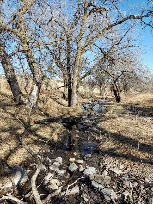 Prairie Trail — Black Hills Hiking, Biking, and More