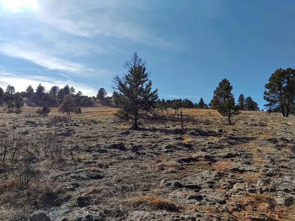 Prairie Trail — Black Hills Hiking, Biking, and More