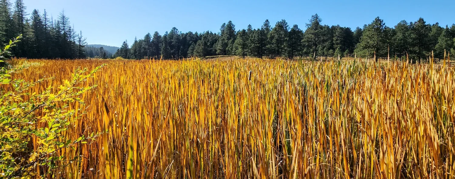 Roubaix Lake — Black Hills Hiking, Biking, and More