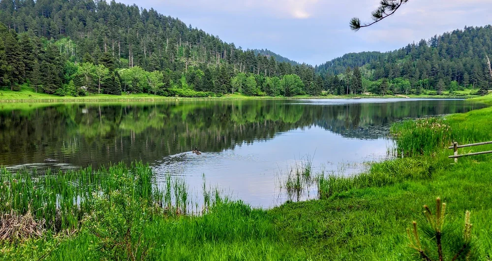 Cook Lake — Black Hills Hiking, Biking, and More