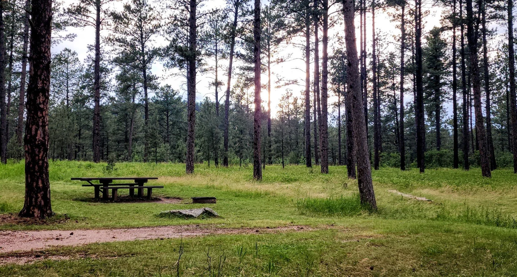 Sheridan Lake Campground — Black Hills Hiking, Biking, and More